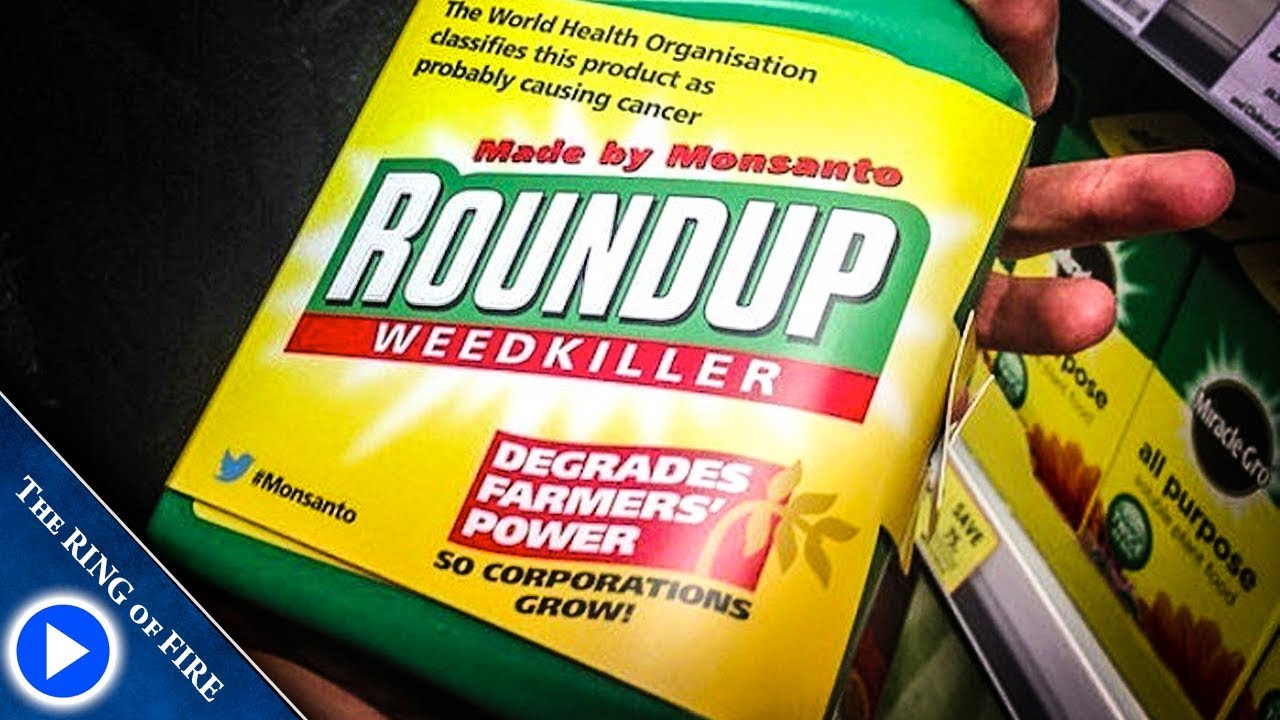 Main Roundup Ingredient Is Unsafe At Nearly ALL Levels - YouTube