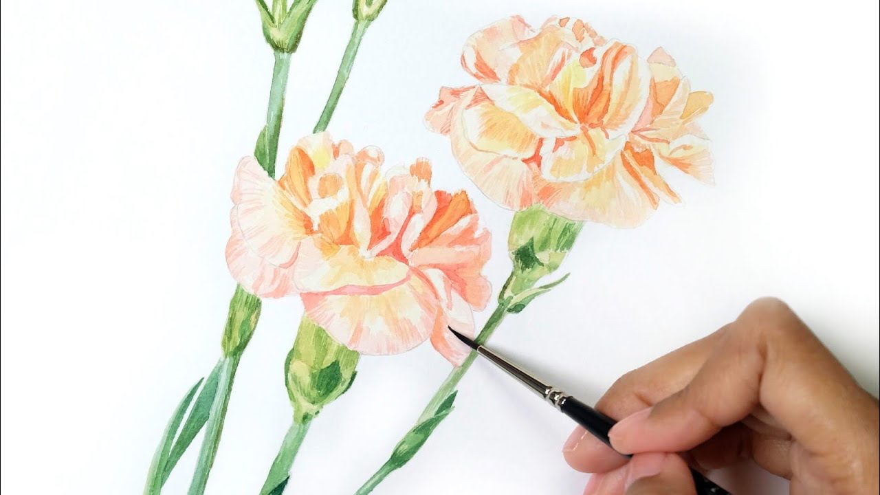 Time-lapse : Painting REALISTIC carnations with watercolor - YouTube