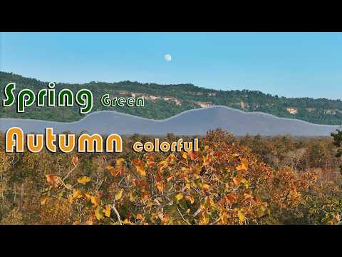 AUTUMN & SPRING Over the forest with calm music Relaxation Music Video Ultra HD 4k #forest #sunrise