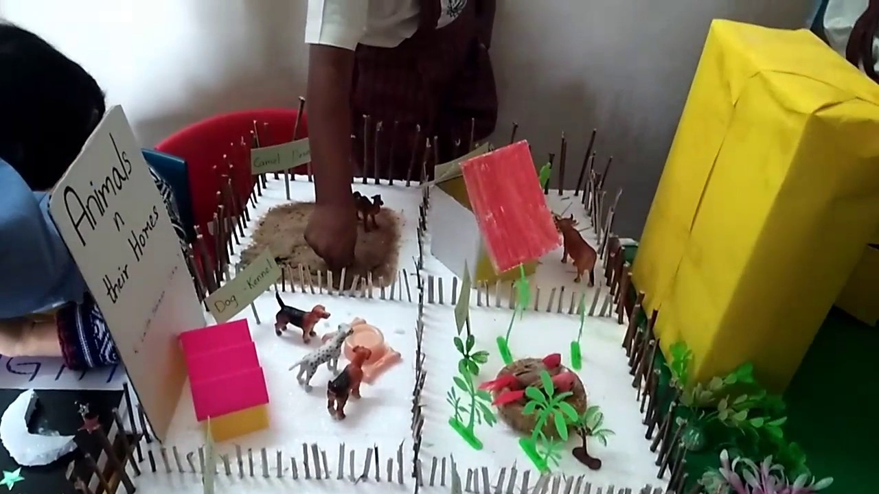 Hemang Sai UKG Science exhibition 26.01.2017 - YouTube