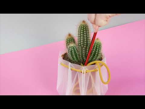 Self-watering POTR