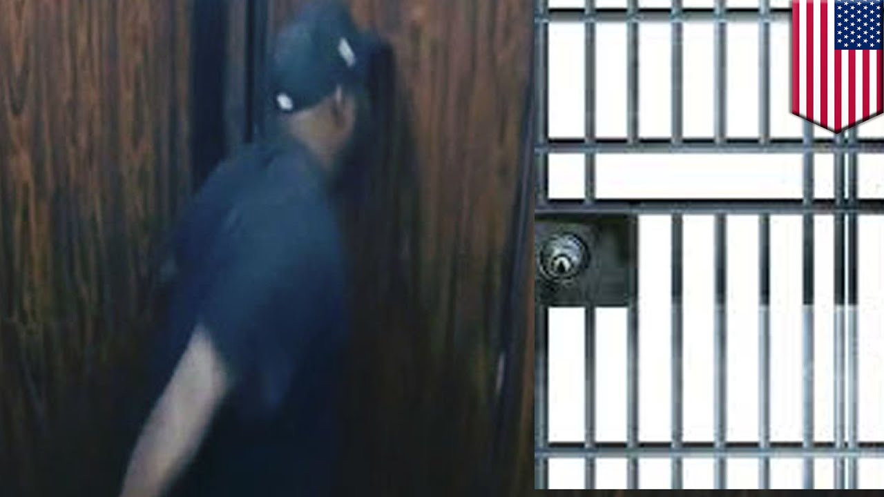 Robbery fail caught on tape: Thief trapped in elevator with victim for ...