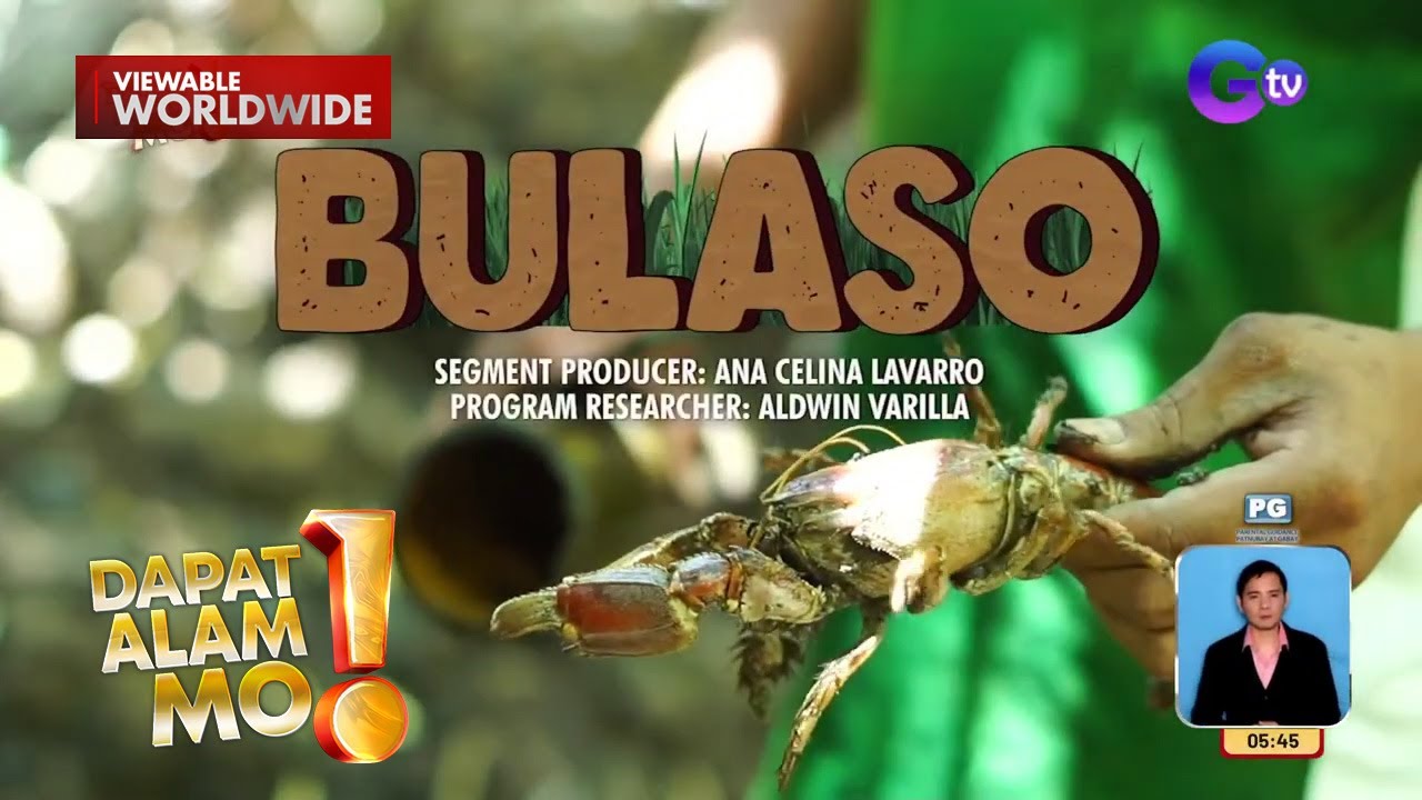 Paghuhuli ng bulaso sa isla ng Polillo, Quezon, silipin | Dapat Alam Mo ...