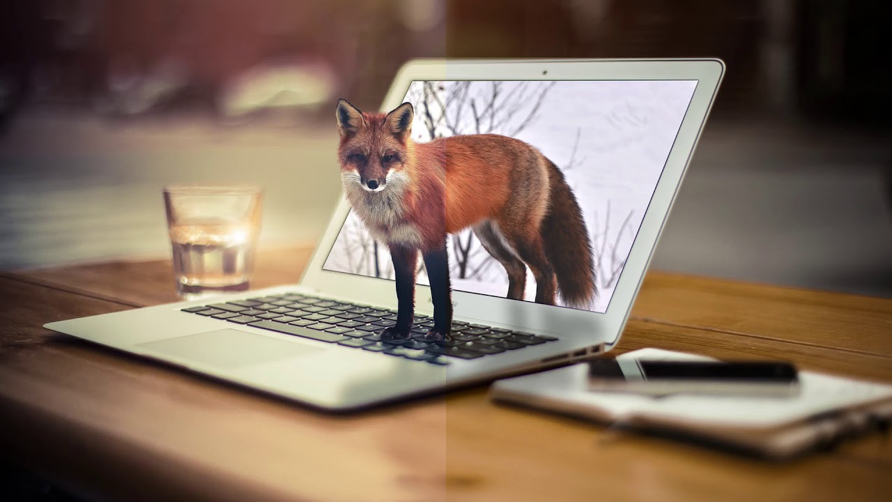 Fox out of the cage - Photo Manipulation Photoshop Steps - YouTube