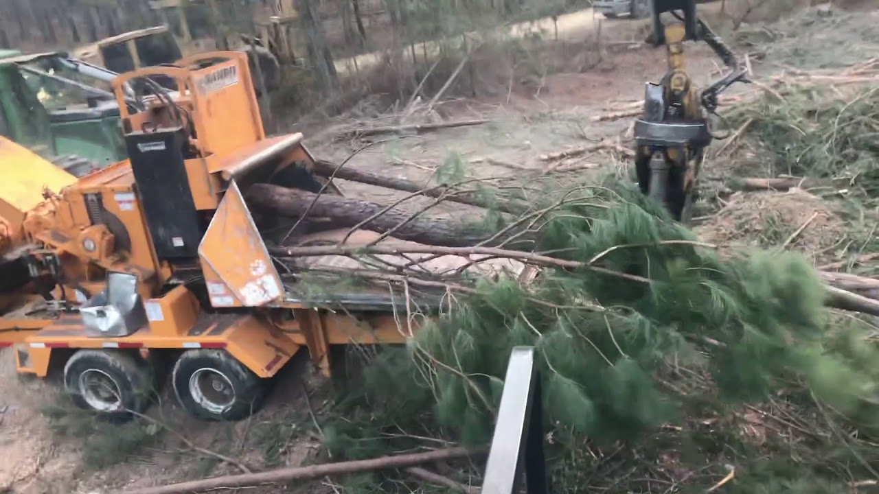 FEEDING THE CHIPPER WITH WOOD BANDIT 2590 - YouTube