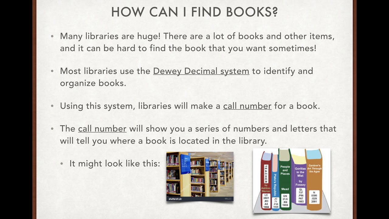 Library Vocabulary Words - YouTube