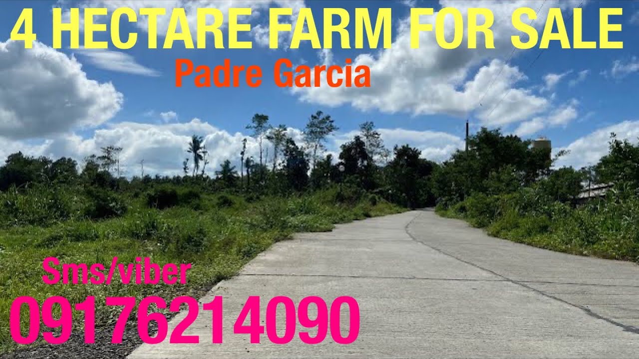 Vlog409: 4 HECTARE FARM LOT FOR SALE IN PADRE GARCIA BATANGAS ...
