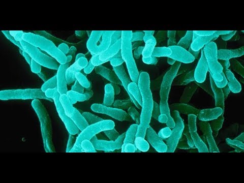Microbiology of Microbial Genetics - YouTube