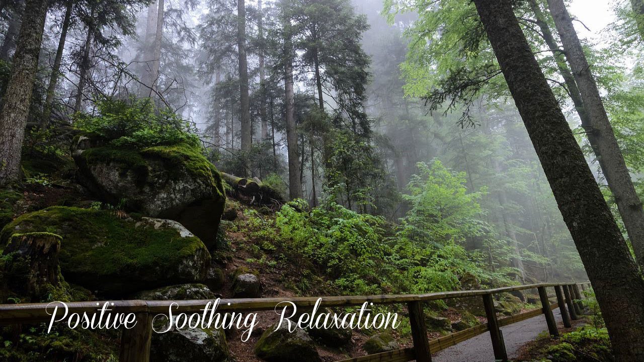 Beautiful Soothing Relaxing Music, Soothing Instrumental Positive ...