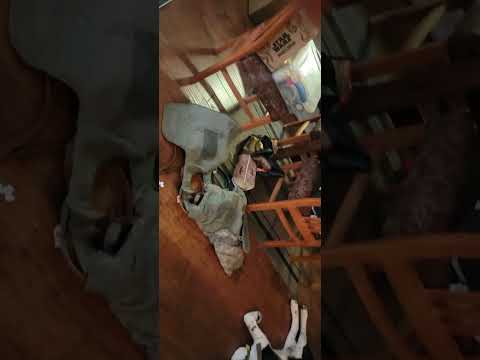 its gonna be a good day, tater - YouTube
