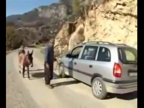 Eşşekli Komik Halı Reklamı