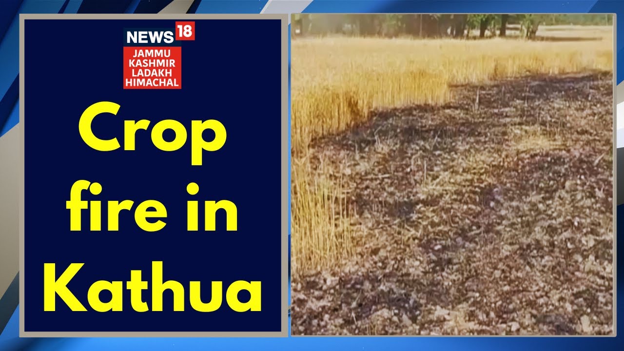 Jammu and Kashmir | Crops burnt to ashes due to fire in Kathua - YouTube