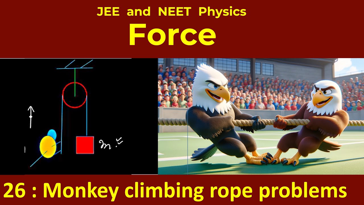 26. Newtons laws of motion | Monkey rope problem | IIT JEE Physics - YouTube