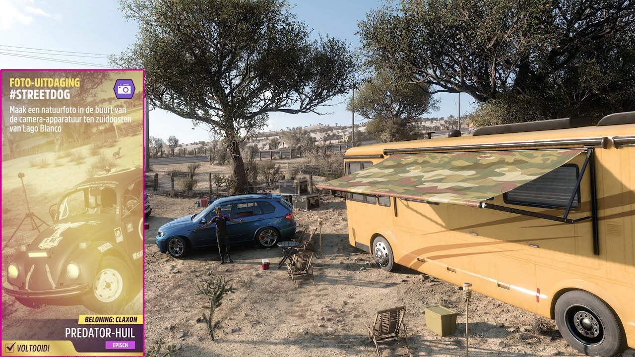 Photo Challenge #STREETDOG LOCATION South East Lago Blanco - Camera ...