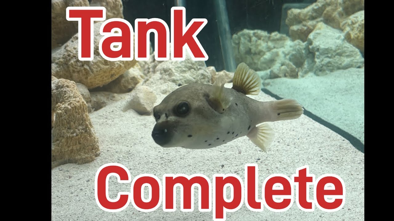 Puffer tank complete - YouTube