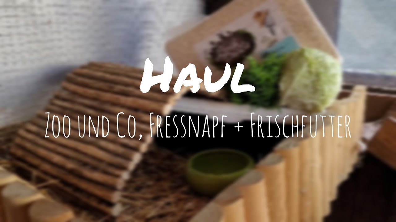 Haul + Info 🛍️🛒🐰 - YouTube