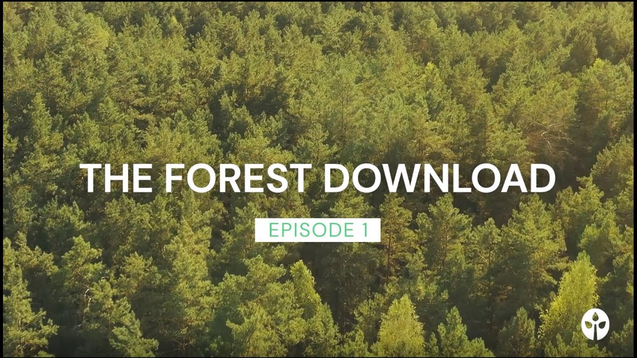 Forest Journal #1: Deforestation Hotspots, Conservation problems, and ...