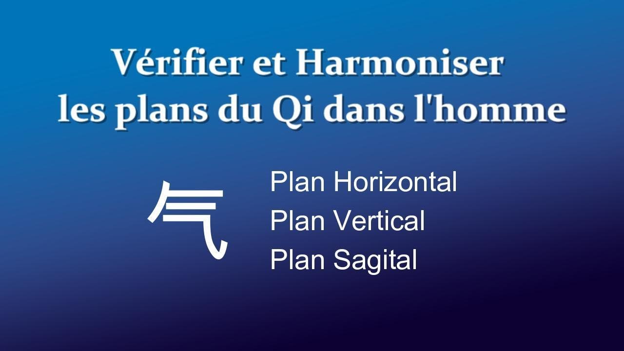 Extrait de la formation Qi Gong Yi Liao Fa : Harmonisation des plans du ...
