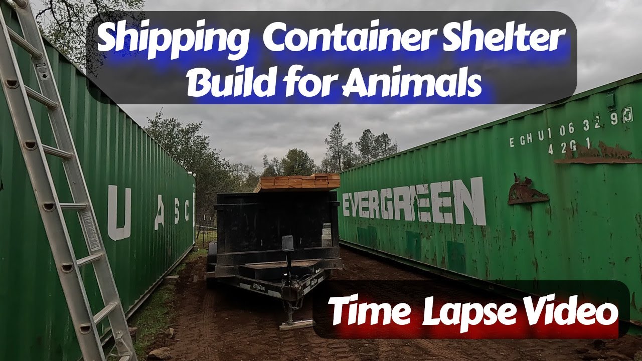 Easy Shipping Container Animal Shelter Build - YouTube