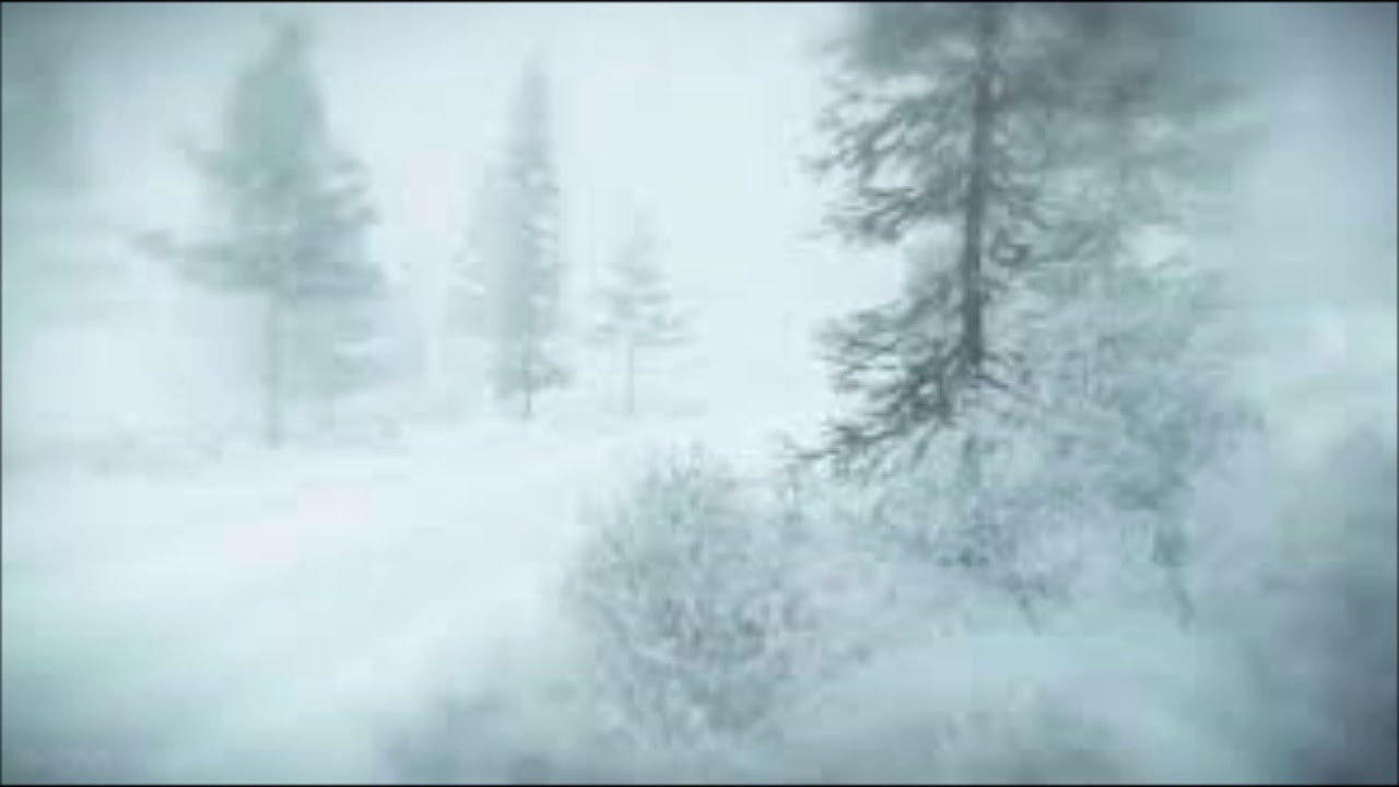 1 hour of a Relaxing Snowstorm Sound, Winds Blowing Snow Across Forest ...