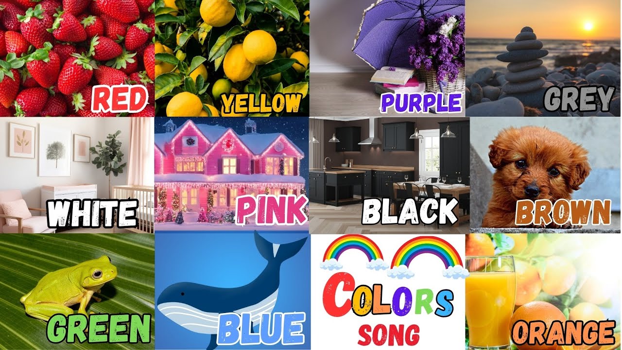 Colors Song | We Love all the Colors|Nursery Rhymes & Kids Songs ...
