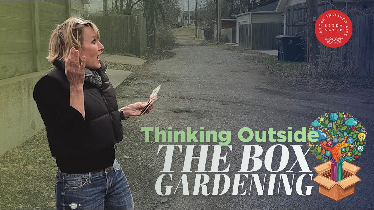 Thinking Outside The Box Gardening - YouTube