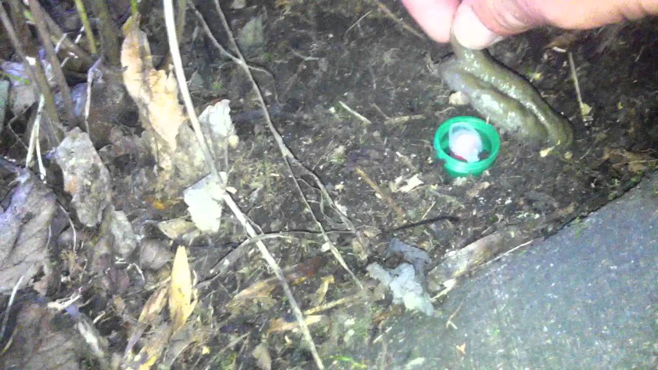 Amazing! Evil dog poo geocache prank - YouTube