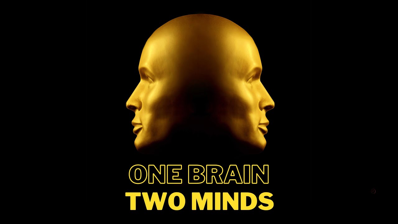 3 Chilling Stories of Split Brain People - YouTube