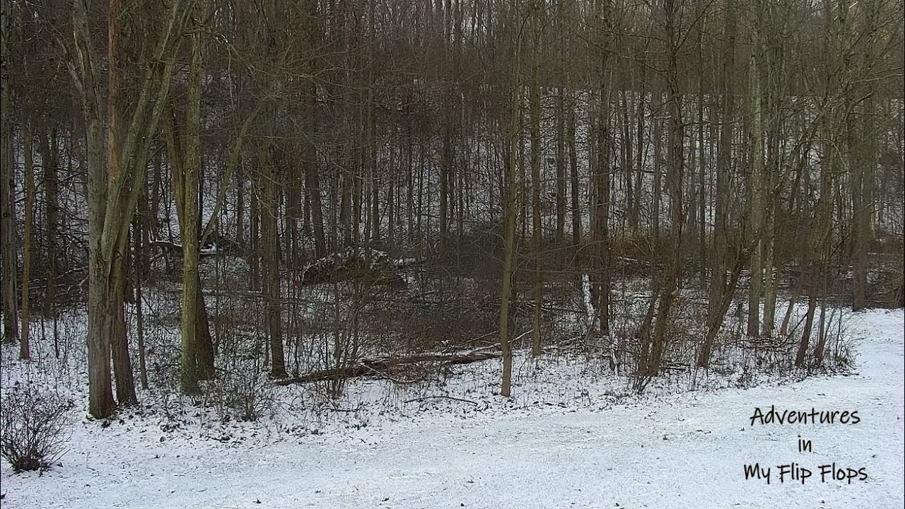 Day #1168 Rise & Shine! - YouTube