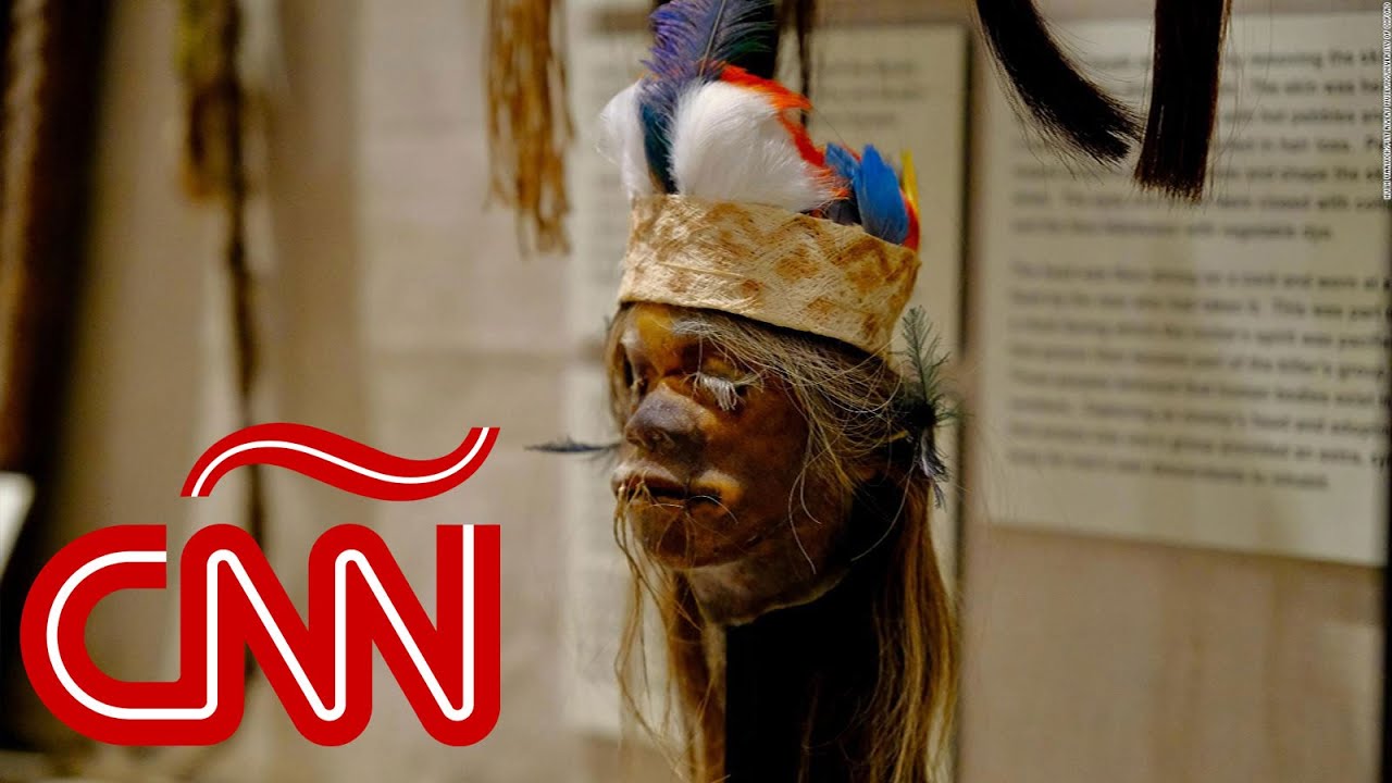 Museo retira cabezas reducidas y otros objetos como parte de un ...