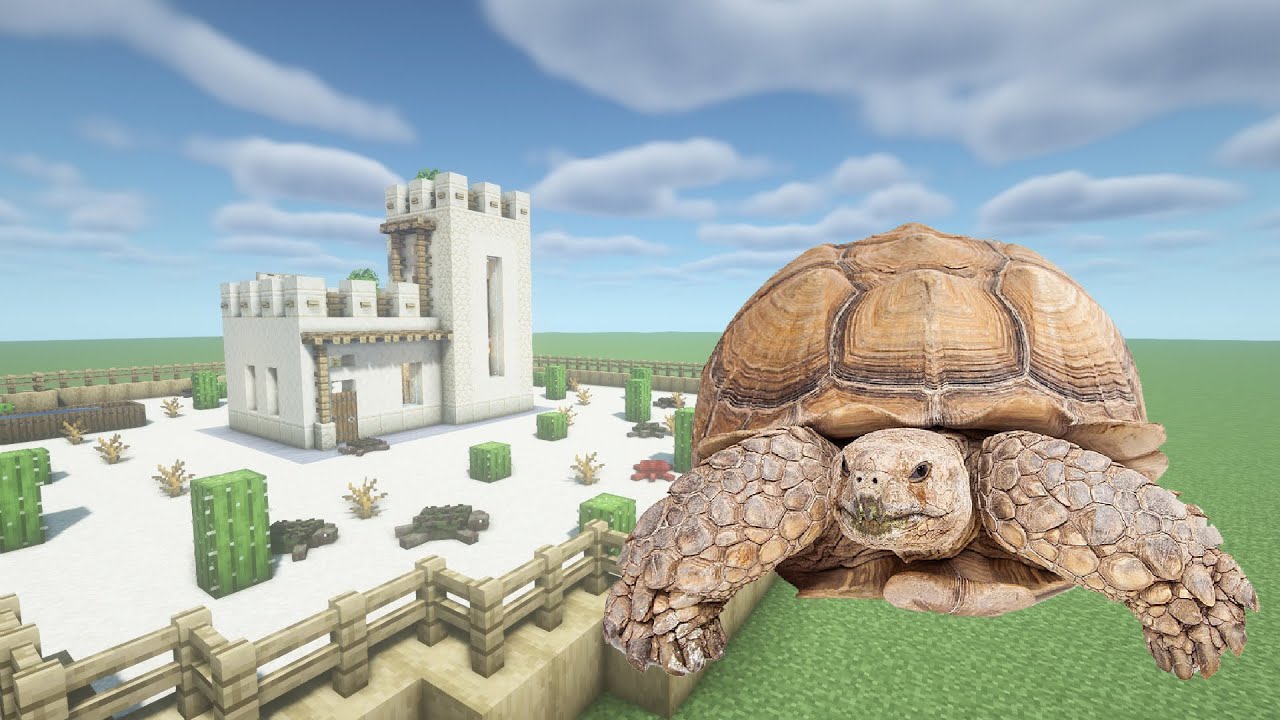 How To Make a Tortoise Farm in Minecraft PE - YouTube