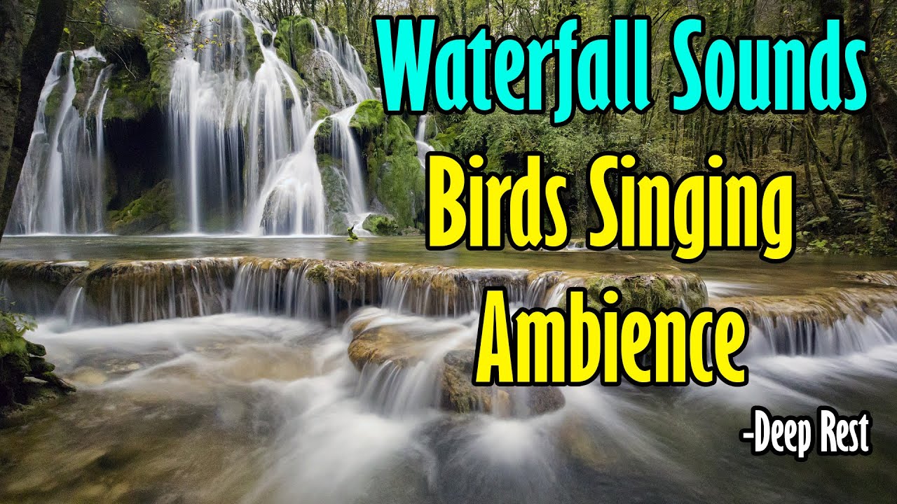 Rainforest Nature Sounds Birds Singing Ambience Waterfall Sounds
