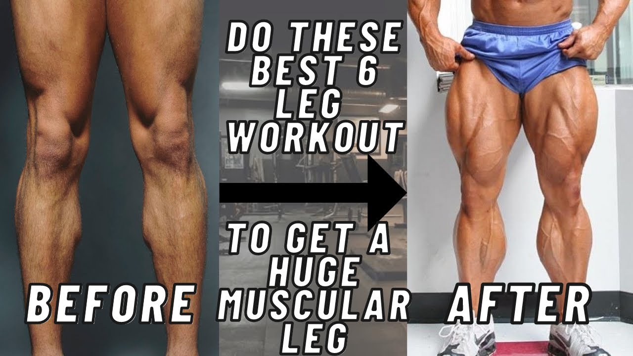 Do these best six leg workout to get strong and huge muscular leg 🦵 🦵 ...