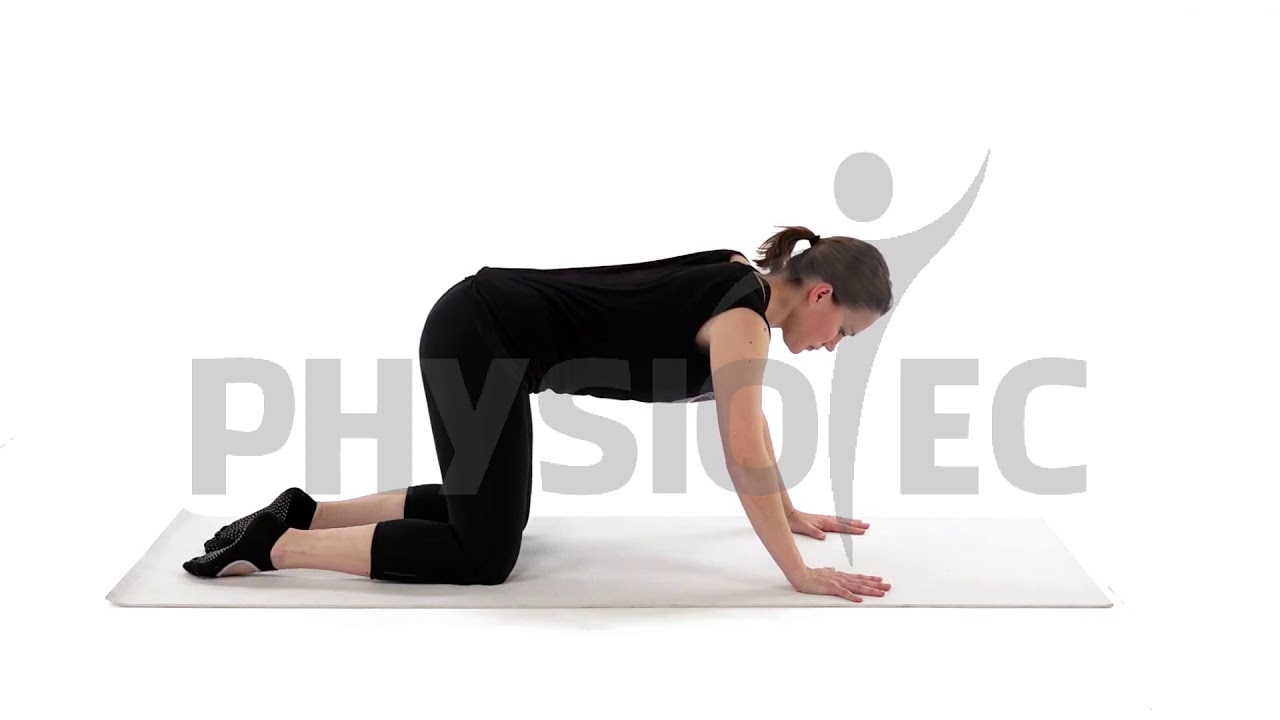 Dips in four point kneeling - YouTube