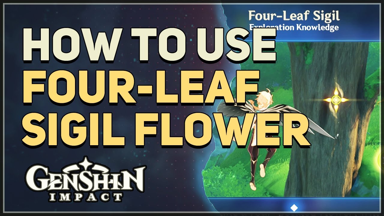 How to use Four Leaf Sigil Flower in Sumeru Genshin Impact - YouTube