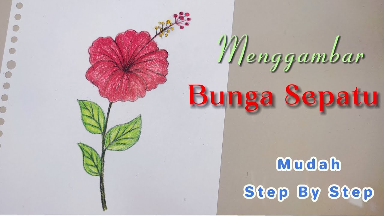 CARA MENGGAMBAR BUNGA SEPATU MUDAH // HOW TO DRAW HIBISCUS VERY EASY ...