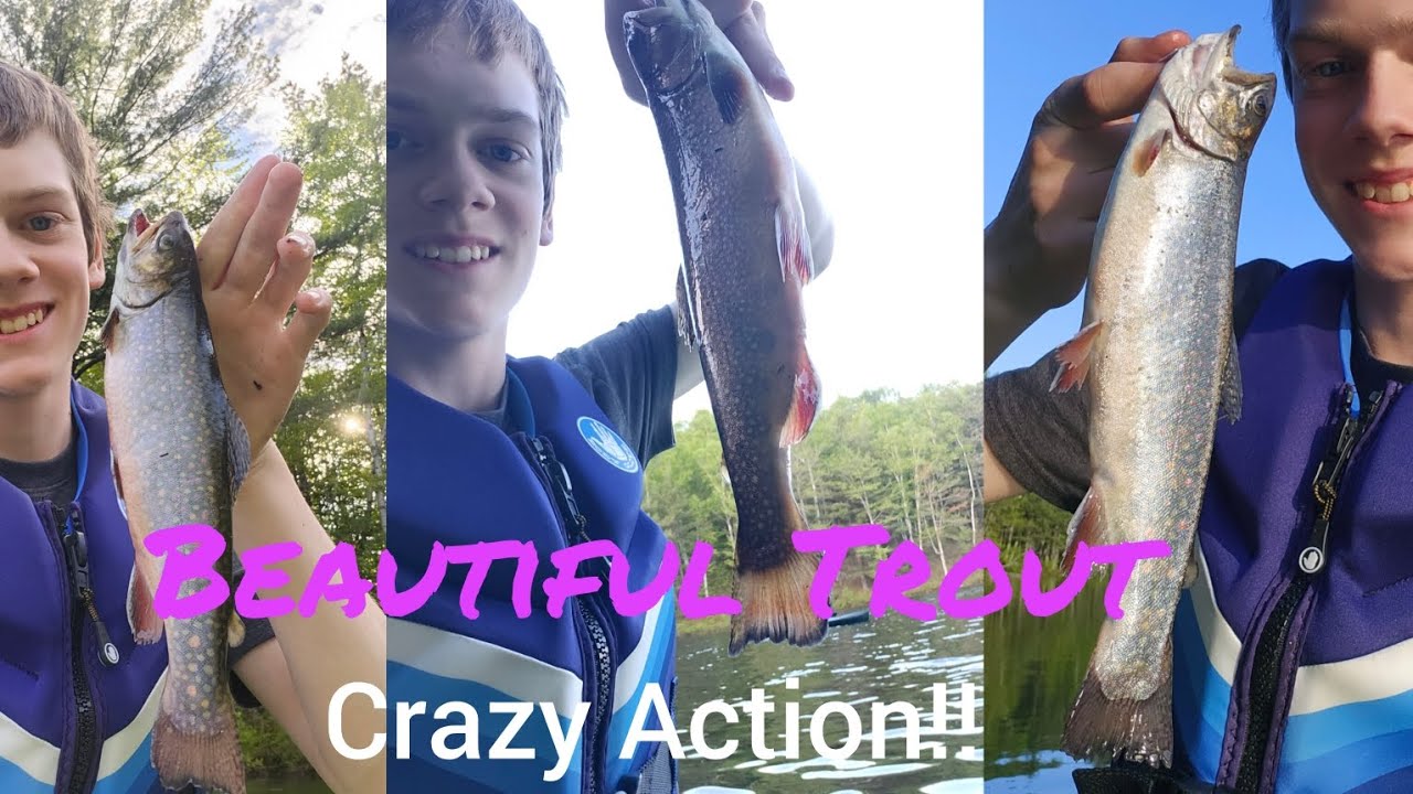 This Pond is LOADED with Nice Trout (non-stop catches) - YouTube