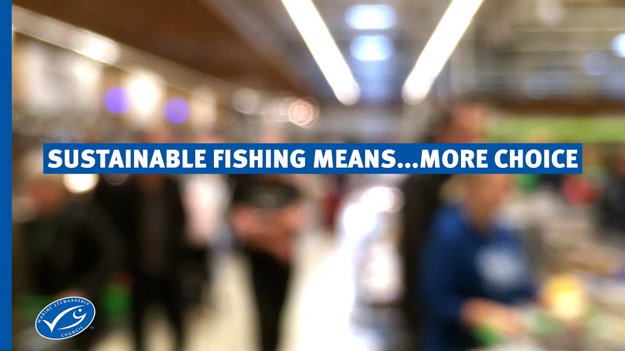 How can sustainable fishing mean more choice for consumers? - YouTube