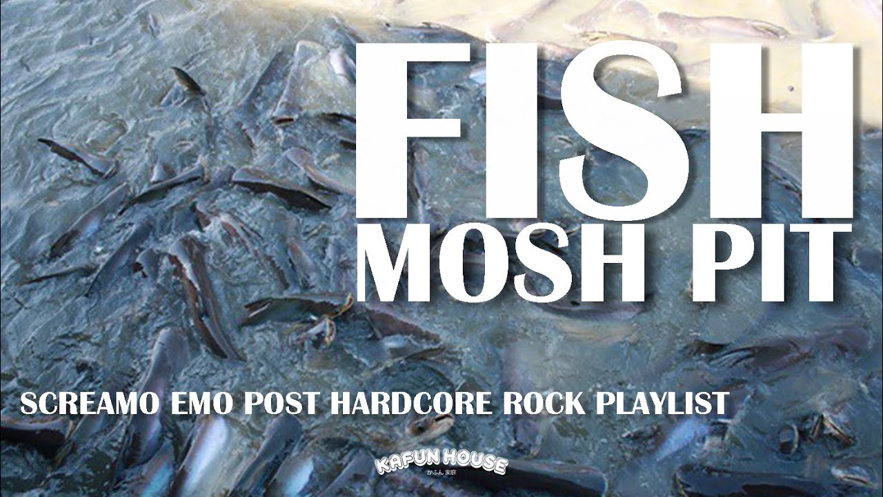 [PLAYLIST] EP.7 MOSH PIT - Screamo emo hardcore PLAYLIST / รวมเพลงร๊อค ...