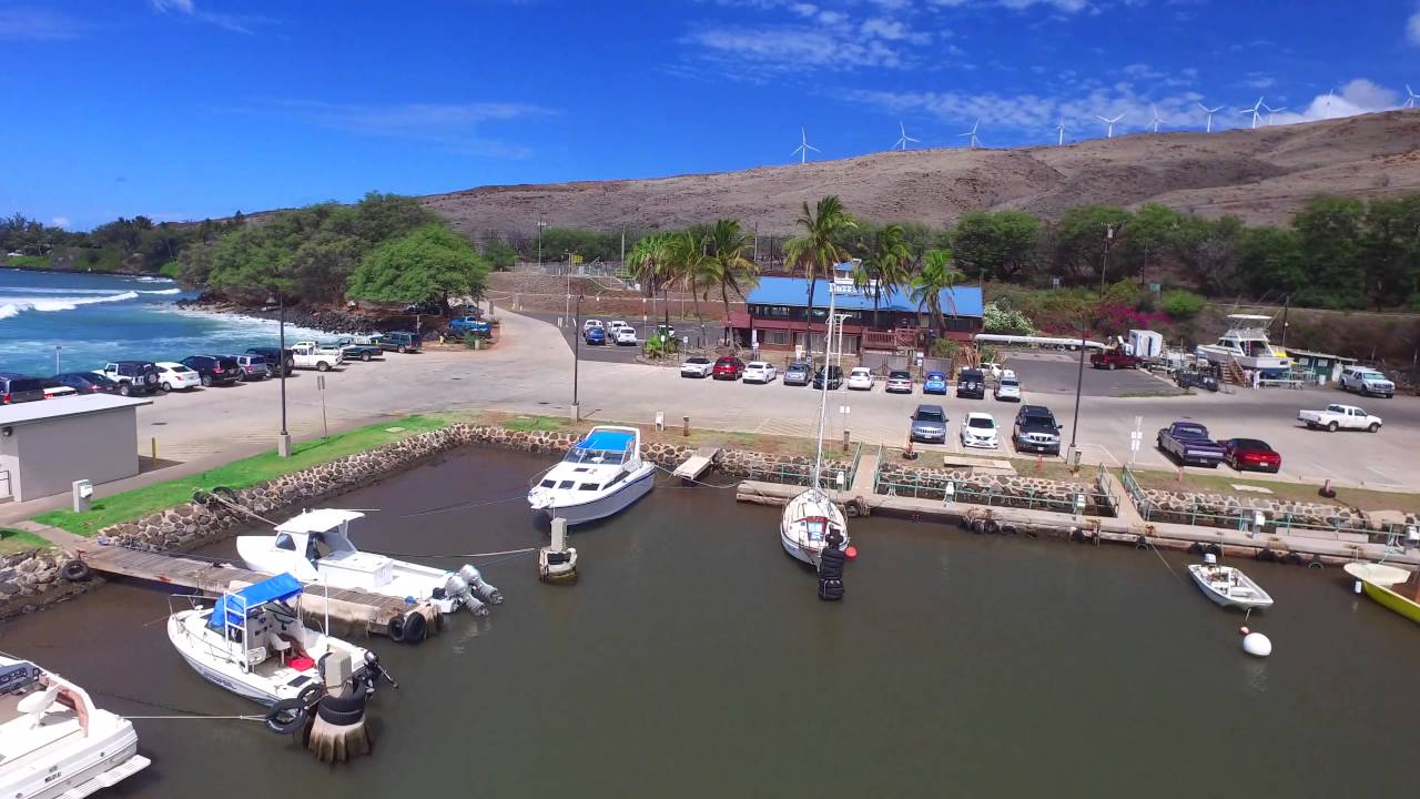 MAALAEA HARBOR - YouTube
