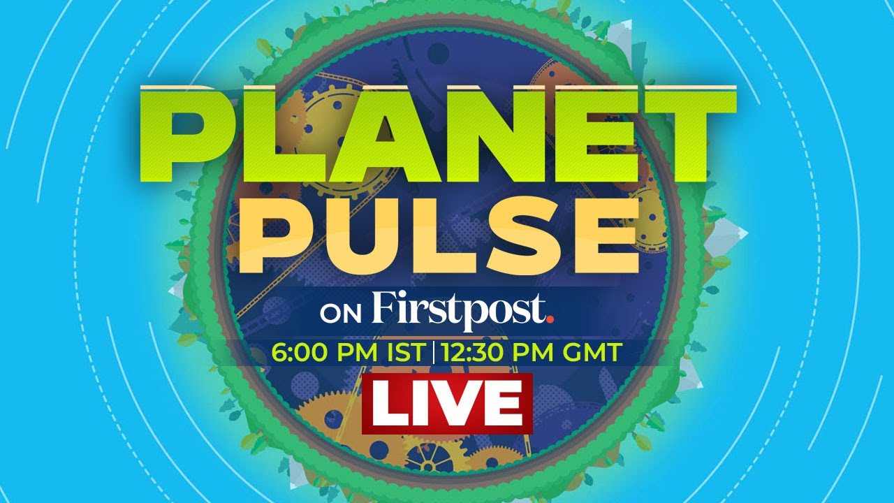 LIVE | LA Wildfires: Residents Remain Out of Houses, Firefighters Make Gains | Planet Pulse ...