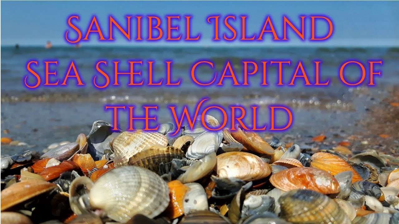 Sanibel Island: The Shell Capital of the World - YouTube