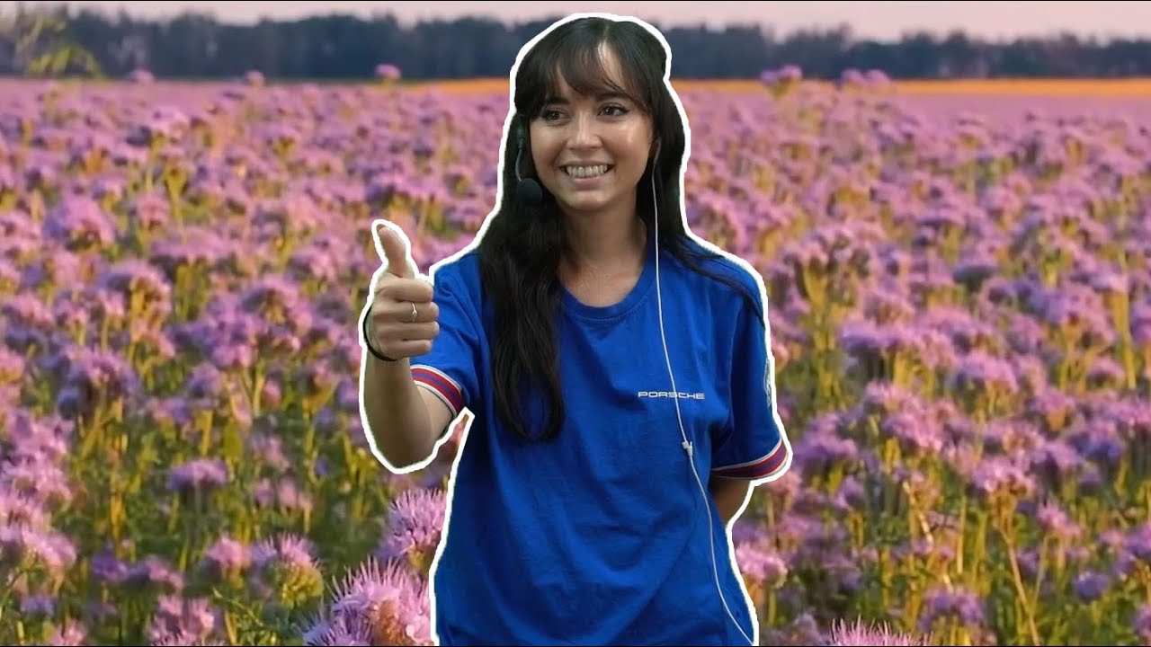 Animal Kingdom: Defensive Behaviors - 4/17/24 - YouTube