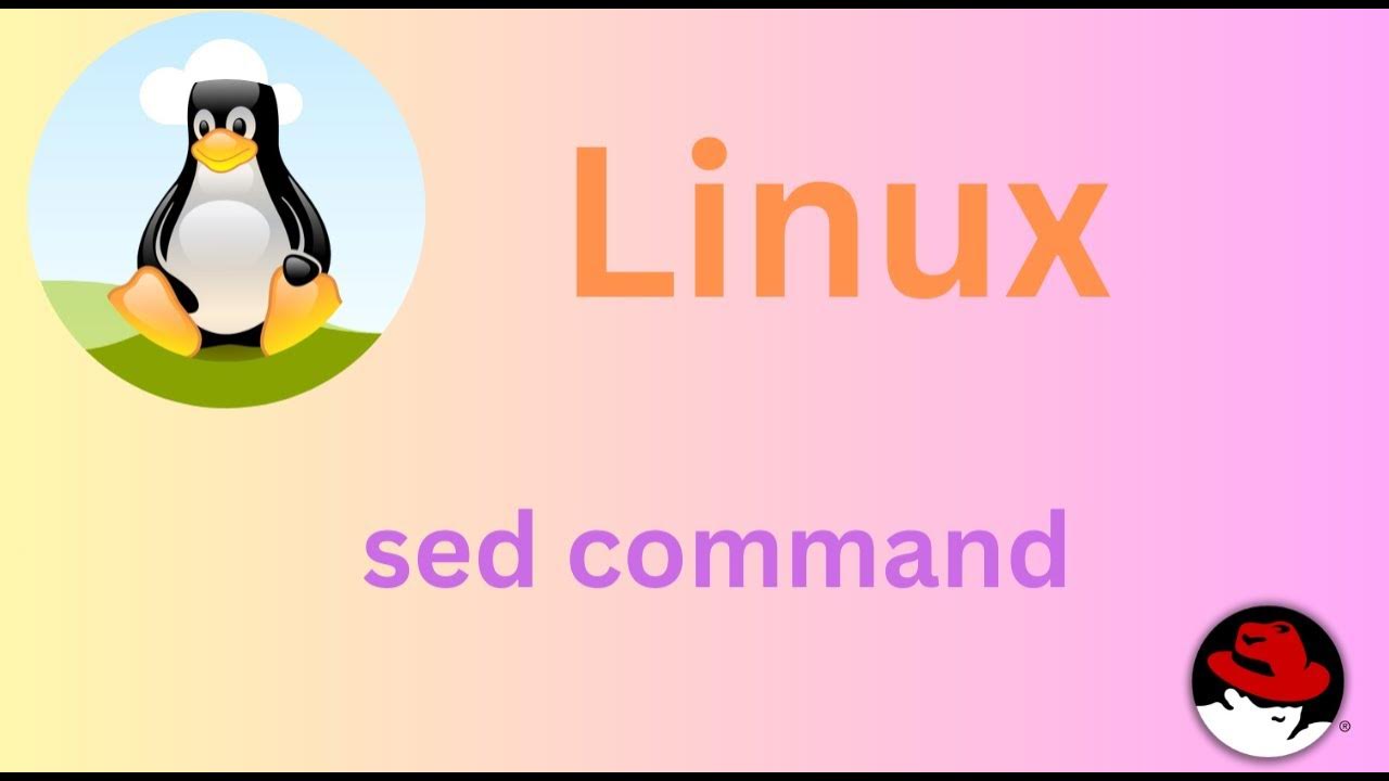 33/50 Basic Linux Commands | sed command Explained #shortsvideo #linux #linux_tutorial - YouTube