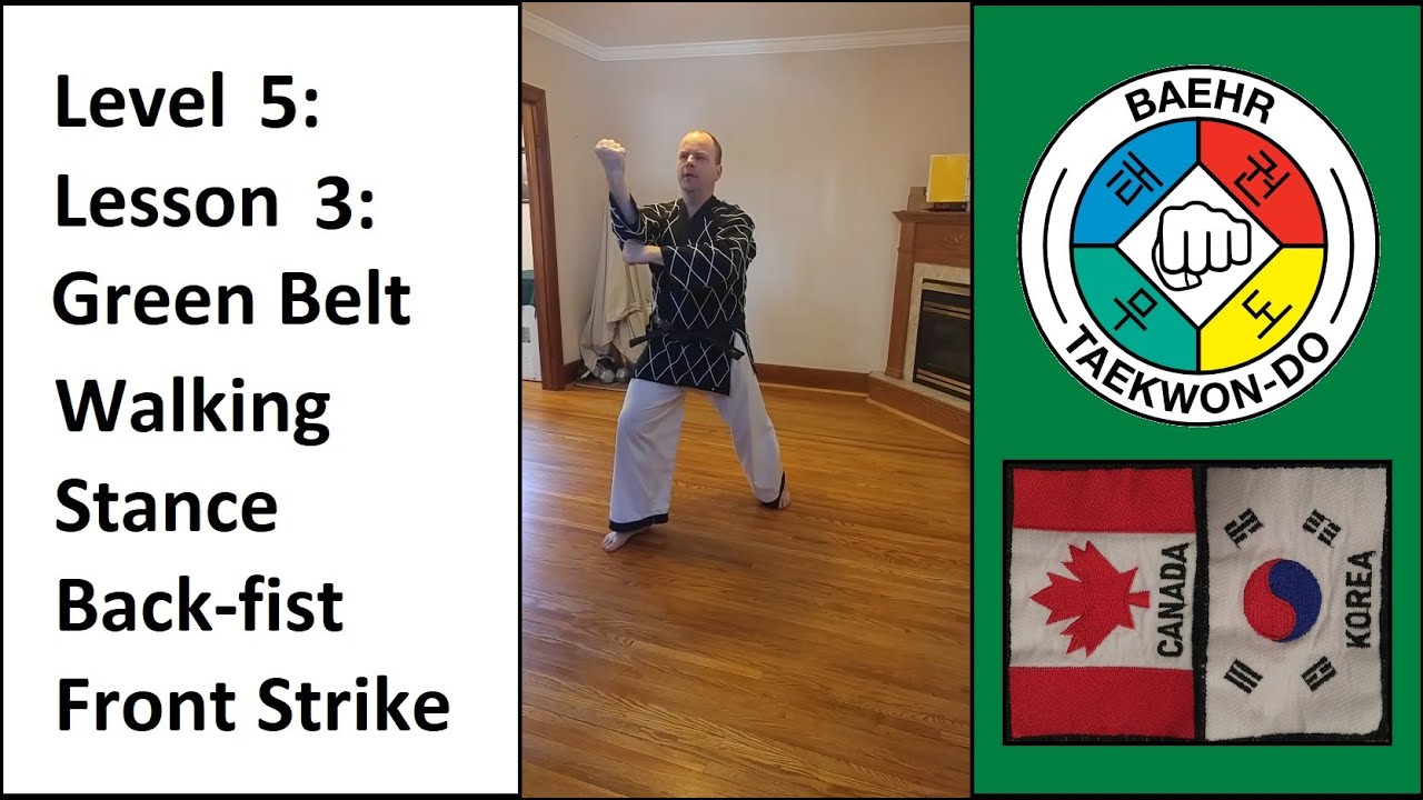 Level 05: Lesson 03: Green Belt: Walking Stance - Back-fist Front ...