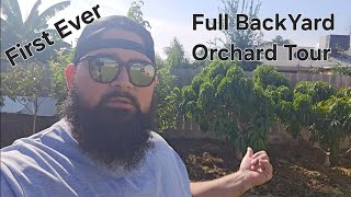 First Ever Full Backyard Orchard Tour 