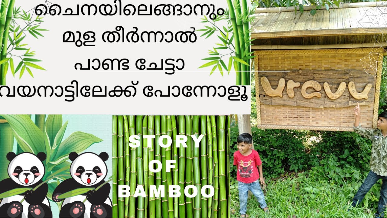 Uravu bamboo village in Wayanad | best tourist spot - YouTube