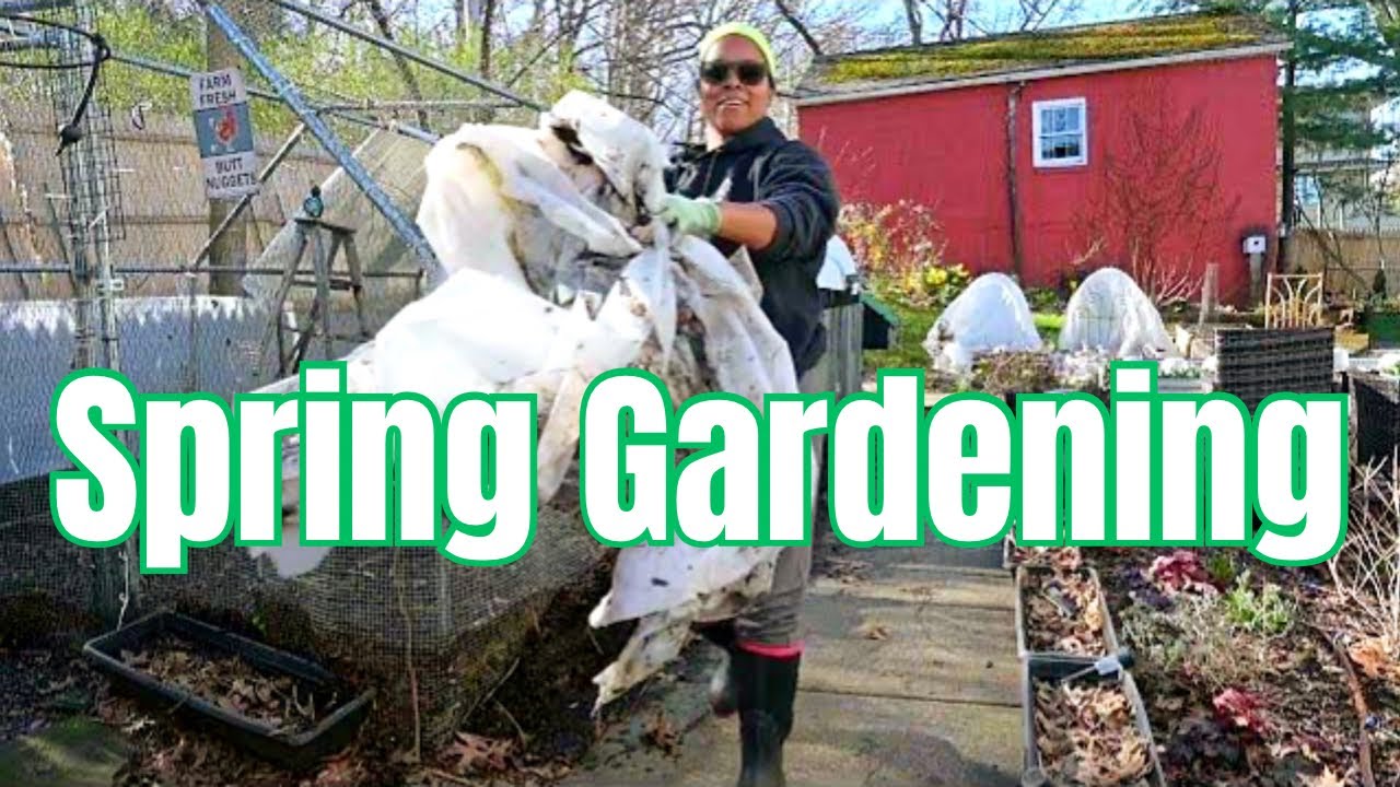Chicken Run Composting System | Backyard Chickens | Spring Garden ...