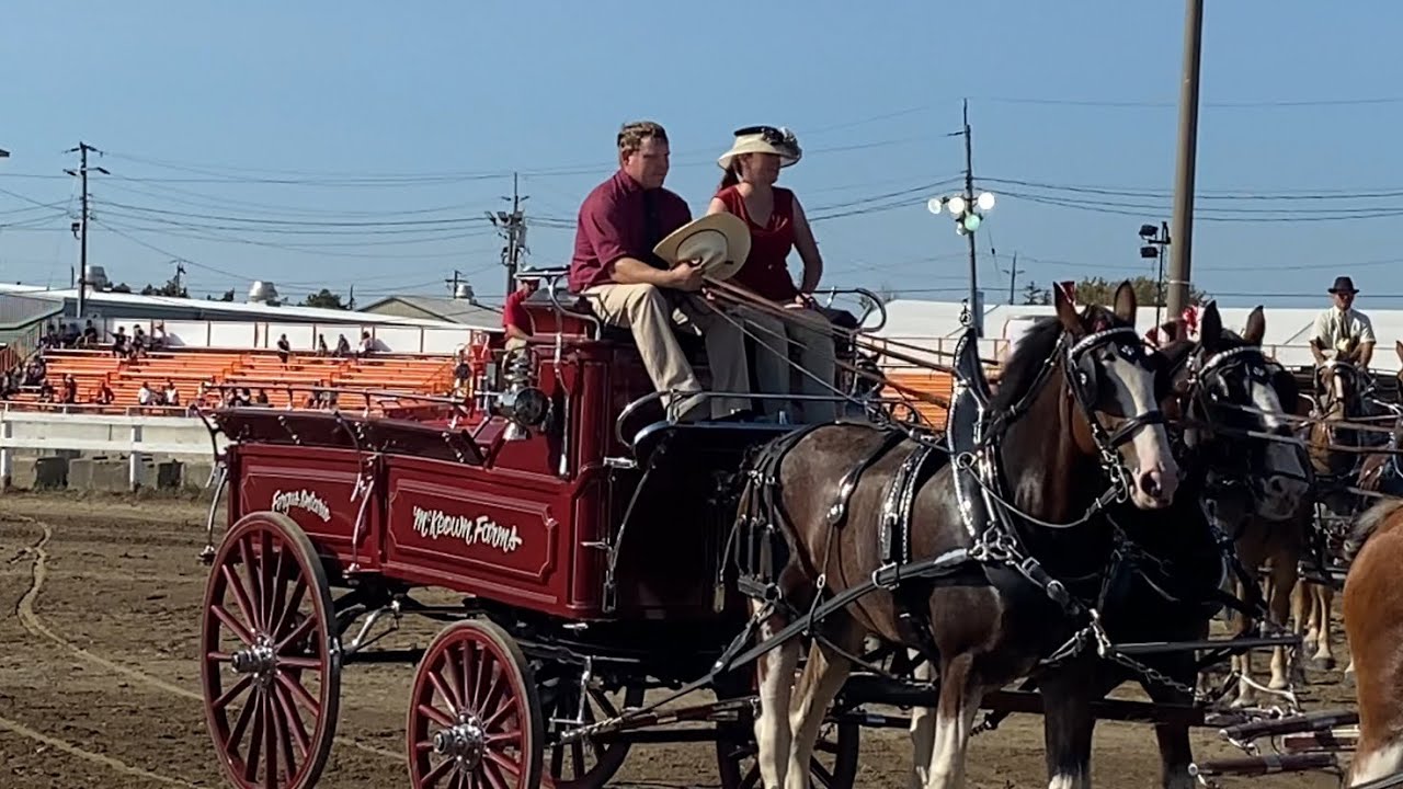 Cart & Hitch Wagon 🐴🛞🛞 Driving Class Markham Fair Competition Awards🥇 ...