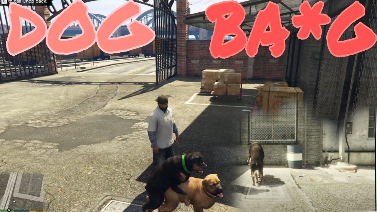 DOG BA*G IN THE MISSION || #gta5 || EP-7 - YouTube